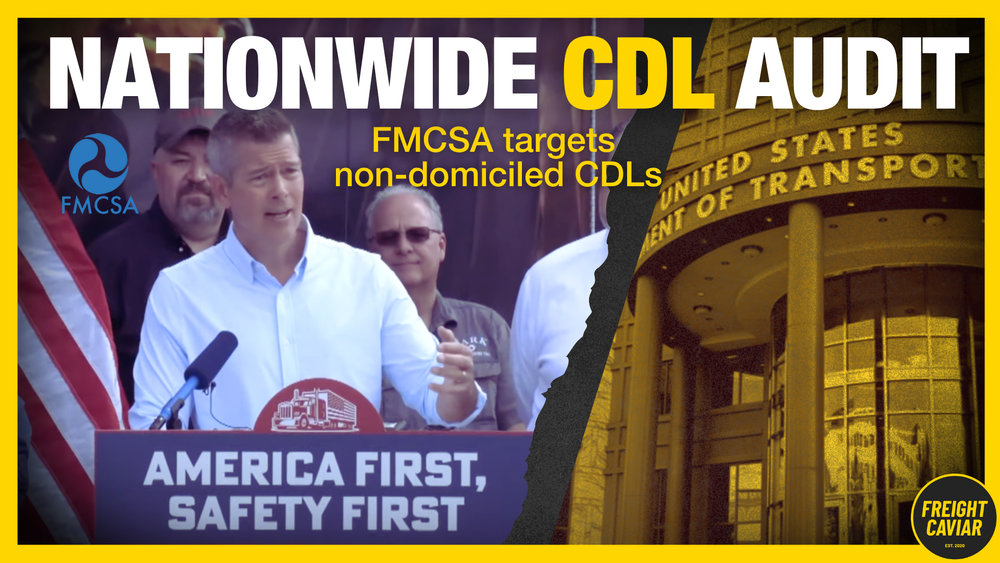 🎣 Audit Targets Non-Resident CDLs