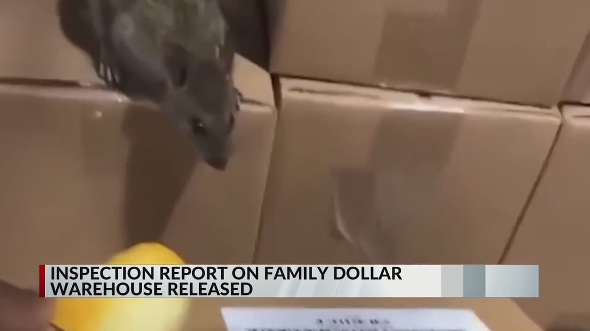 Family Dollar Fined $41.6 Million for Rodent Infestation in Warehouse